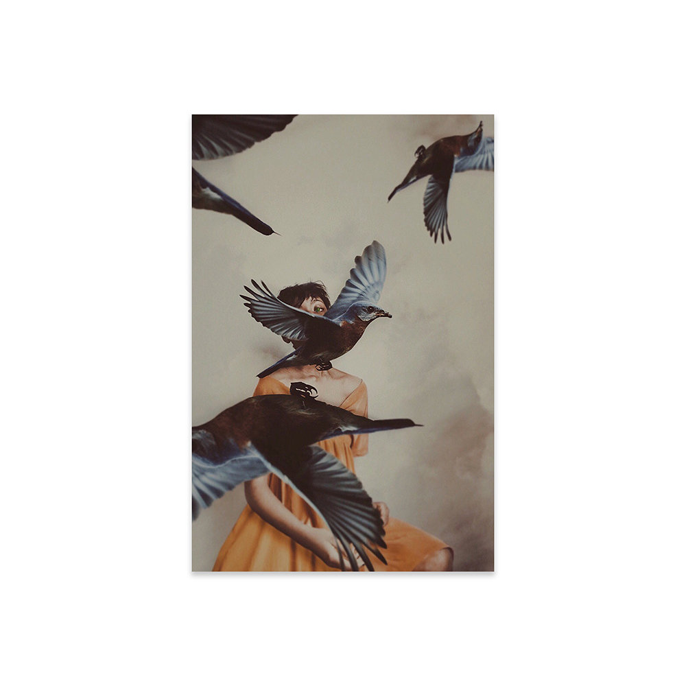 Red Barrel Studio® Falling Apart On Plastic/Acrylic by Deandra Lee ...