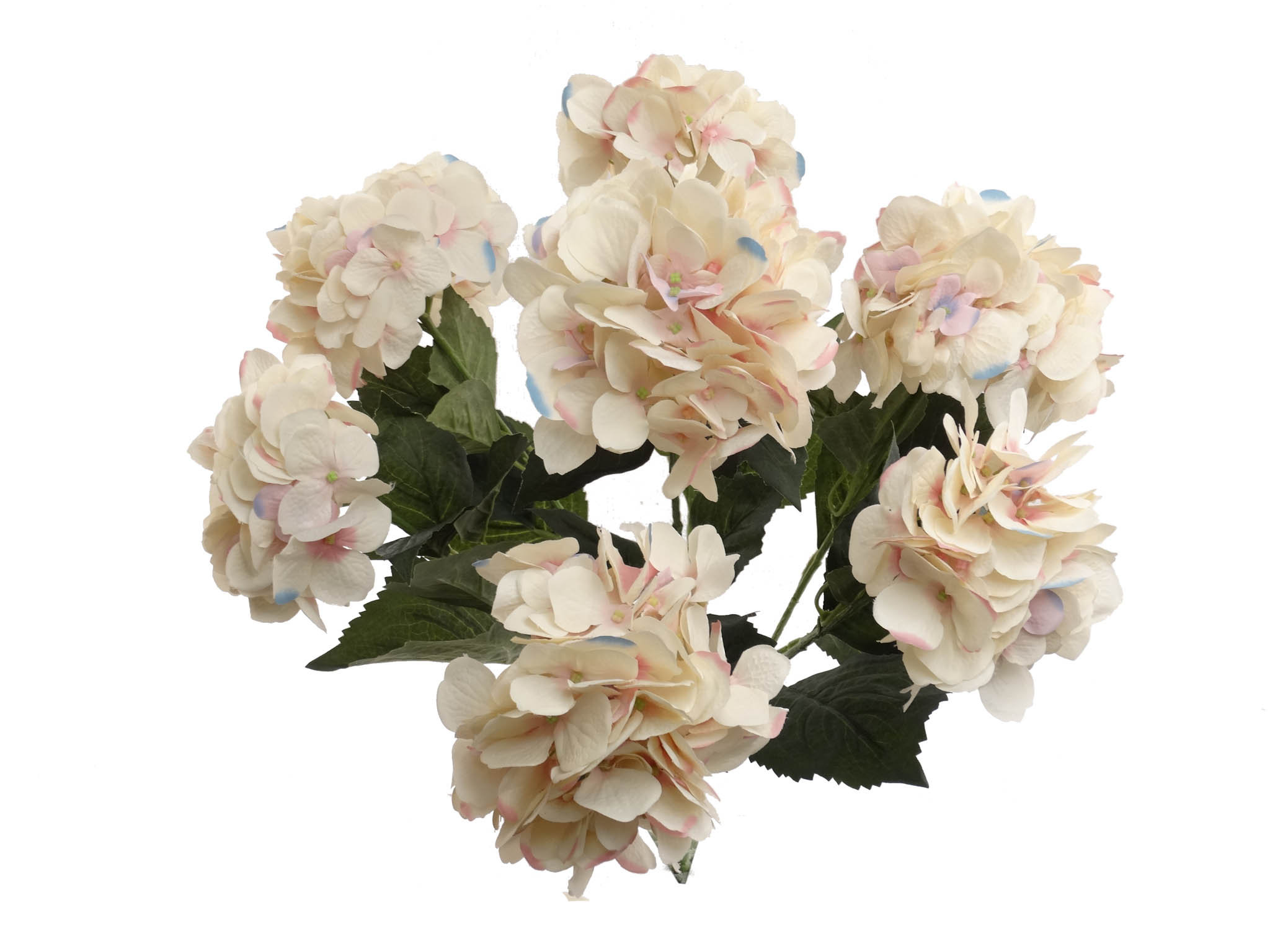 Primrue Hydrangea Bush 20" Tall With 7 White Mop Heads, Realistic Bush ...