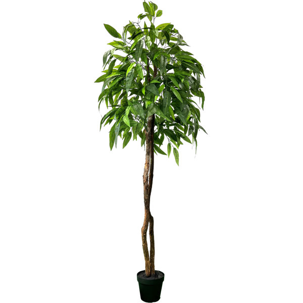 Primrue Hand-Made Primrue All Seasons 6'' Artificial Mango Tree | Wayfair
