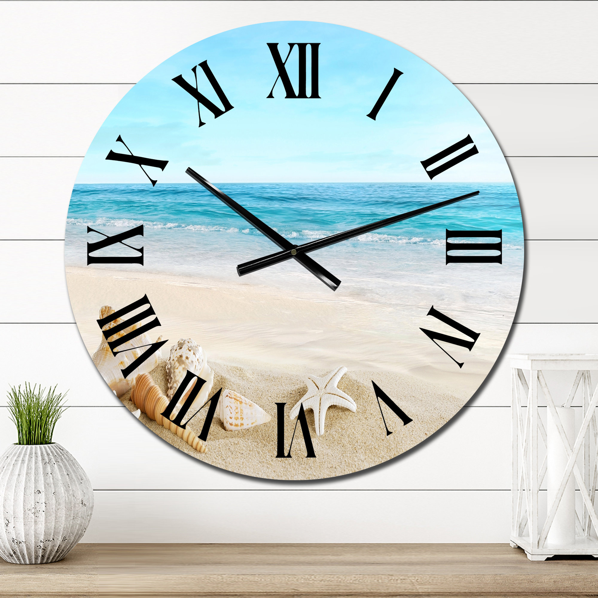 Bless international Landscape With Shells On Tropical Beach - Nautical ...