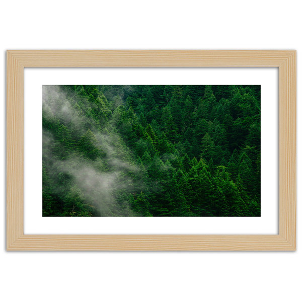 Alpen Home Mist Over The Forest - Picture Frame Photograph | Wayfair.co.uk