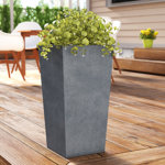 Wayfair | Planters You'll Love in 2023