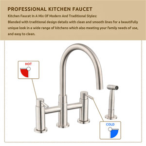 Red Cloud Pull Out Kitchen Faucet | Wayfair