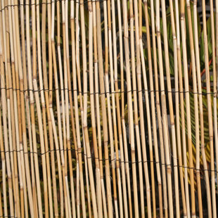 Privacy Screens Up to 60% Off - Wayfair Canada