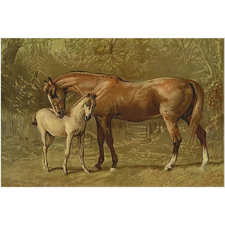 Union Rustic Samuel Sidney Thoroughbred Mare And Foal 1900 Unframed ...