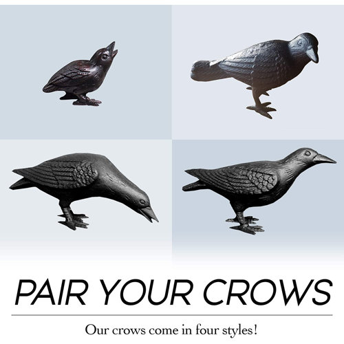 August Grove® Cast Iron Crow | Wayfair