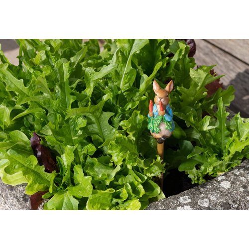 Trinx Peter Rabbit Eating Radishes | Wayfair