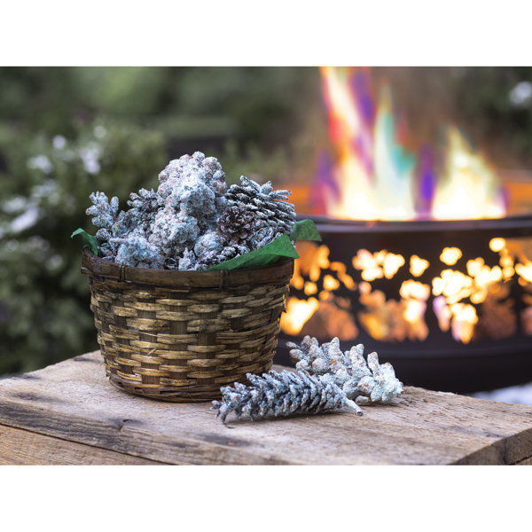Evergreen Enterprises, Inc Color-Changing Fire Pit Cones | Wayfair