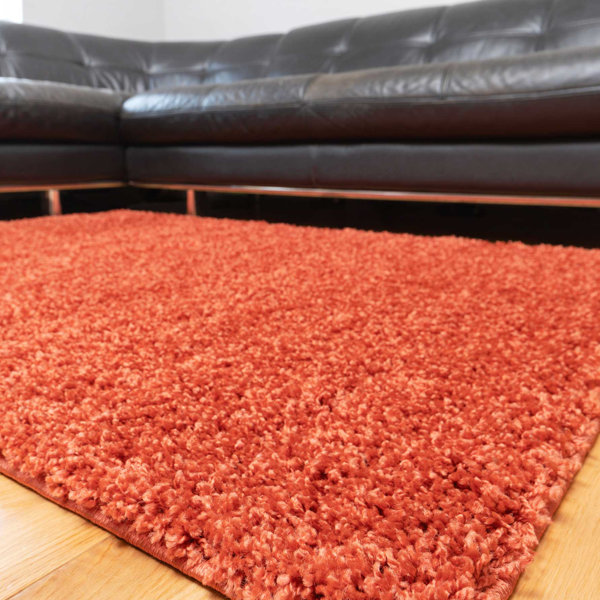 17 Stories Ophiuchi Shaggy Terracotta Rug & Reviews | Wayfair.co.uk