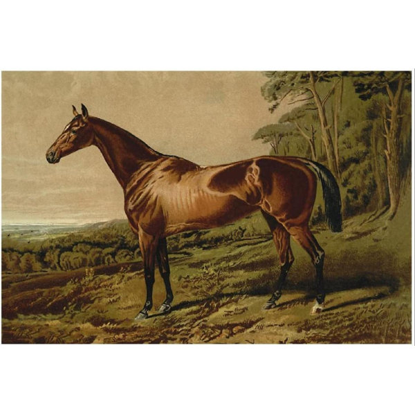 Union Rustic Samuel Sidney Fair Nell - Unframed Painting | Wayfair