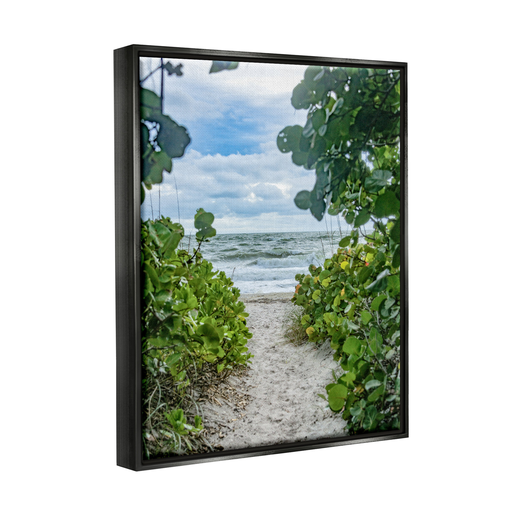 Dovecove Overhanging Beach Greenery Plants Path by Mary Lou Photography ...