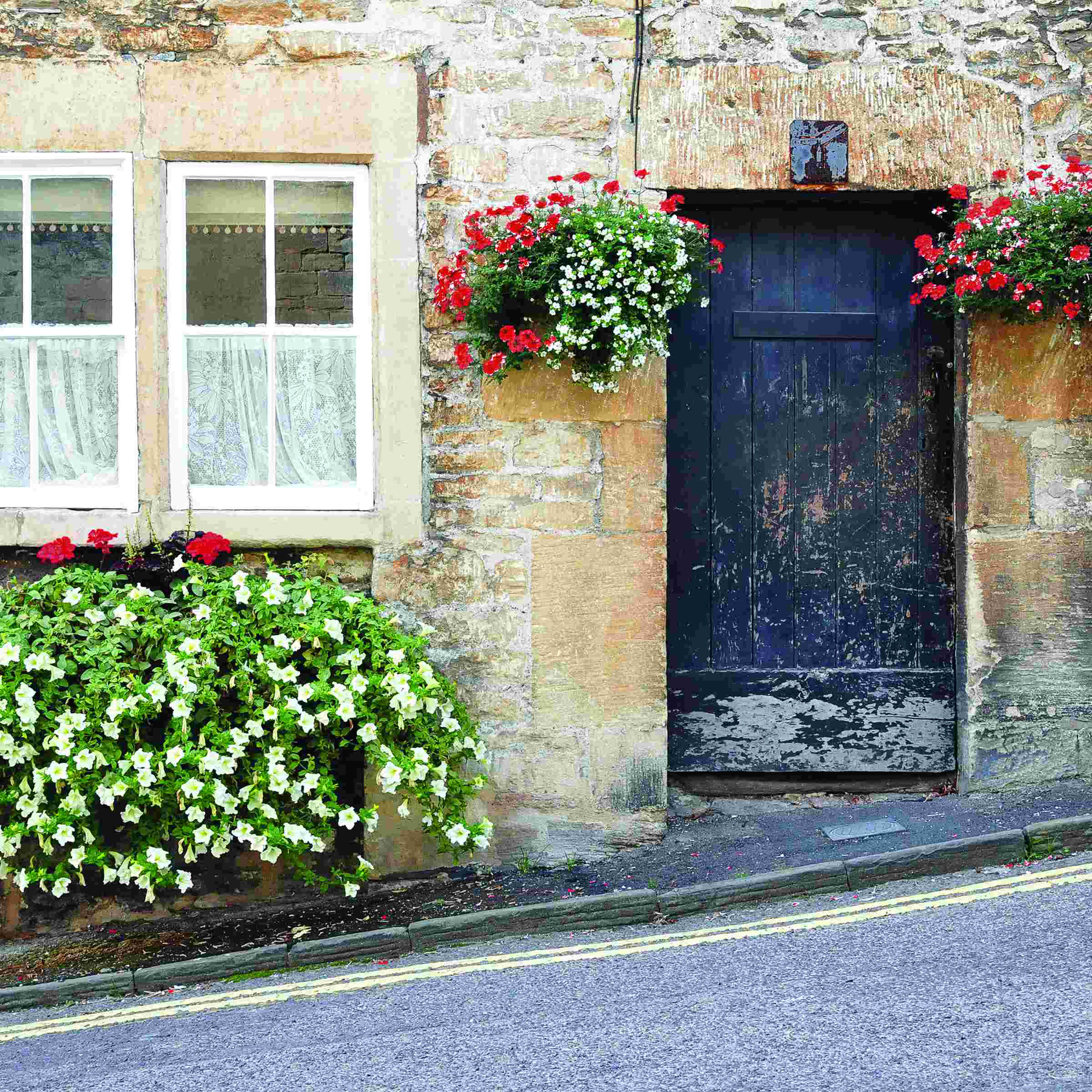 Winston Porter Red Poppy Door - Wrapped Canvas Print | Wayfair