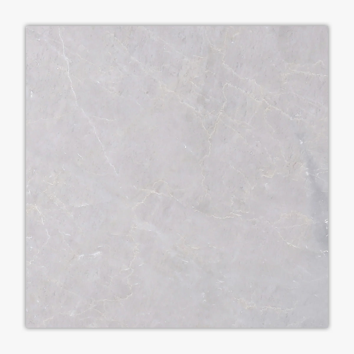 Direct Stone Source 12" x 12" Marble Look Wall & Floor Tile | Wayfair