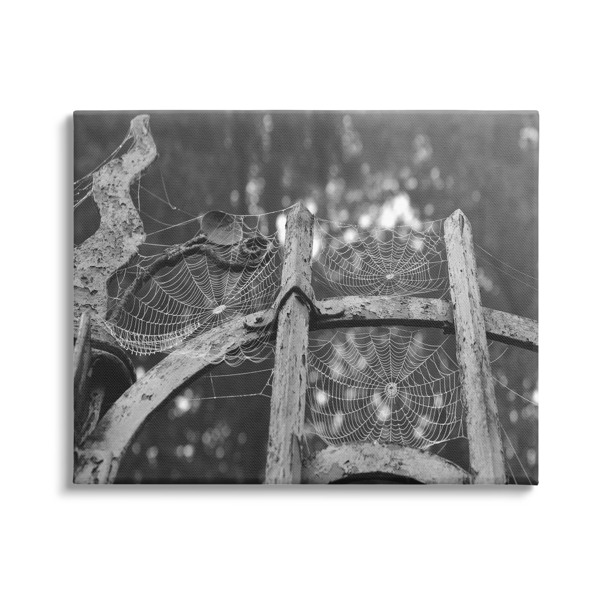 Stupell Industries Spooky Spider Webs Rustic Monochrome Gate by ...