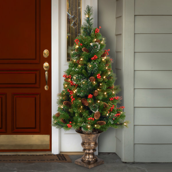 Lighted-porch-christmas-trees | Wayfair