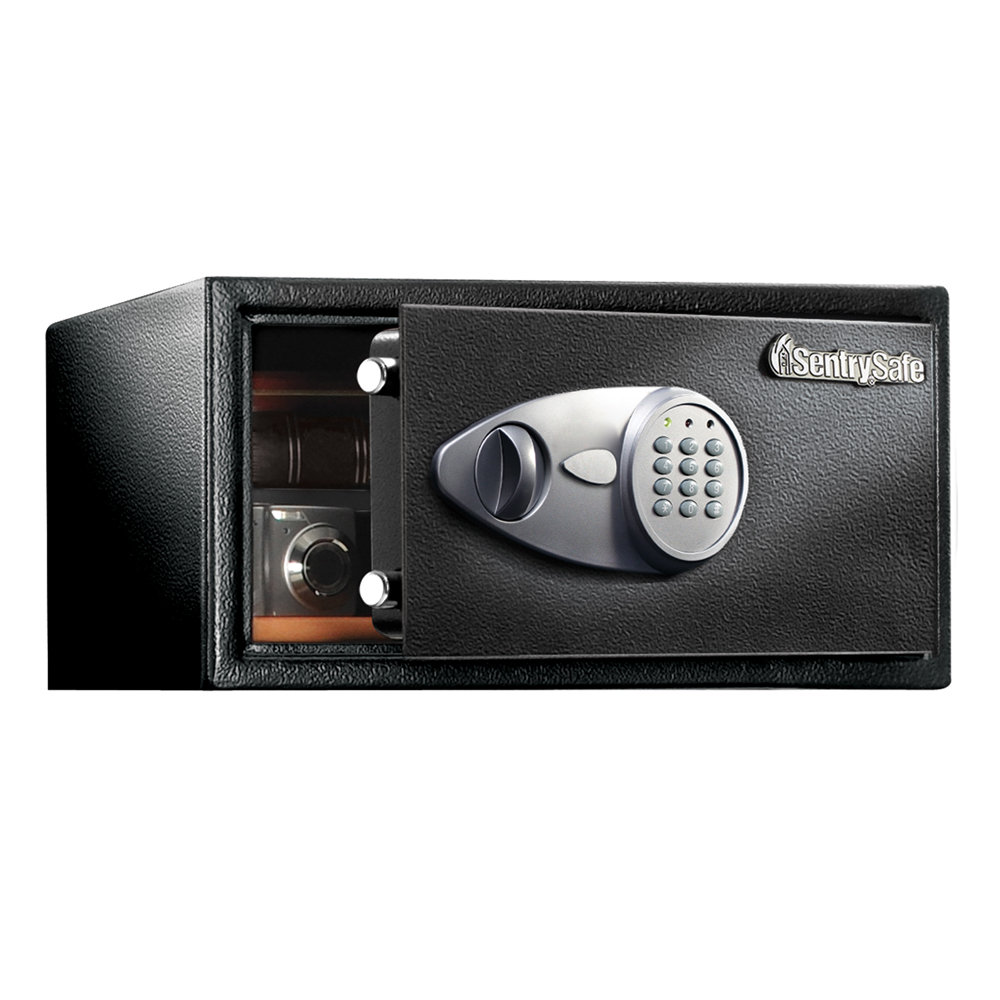 SentrySafe Security Safe with Electronic Lock & Reviews | Wayfair