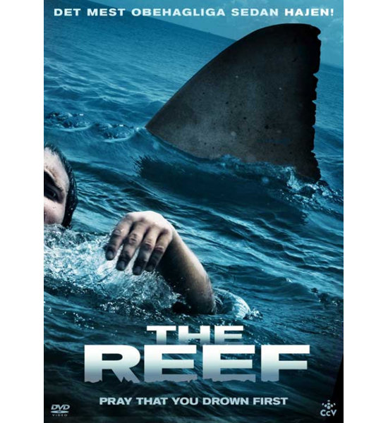 Posterazzi Pop Culture Graphics Beyond The Reef Movie Poster - Unframed ...