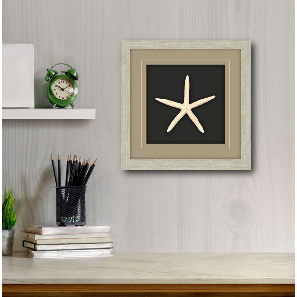 Bless international Sea Star Framed Wall Decor & Reviews | Wayfair