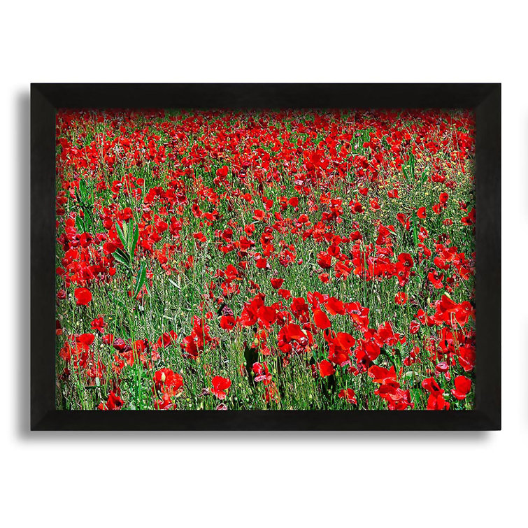 Ebern Designs Red Poppy Field - Picture Frame Painting on Canvas ...