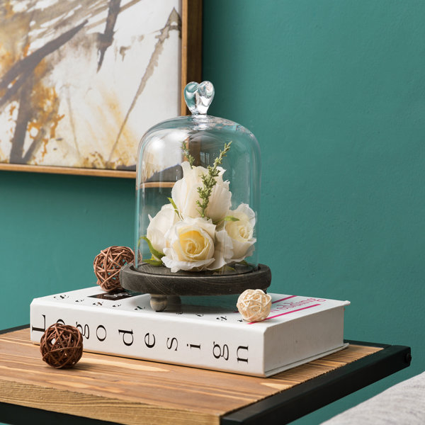 Glass-display-dome-cloche | Wayfair