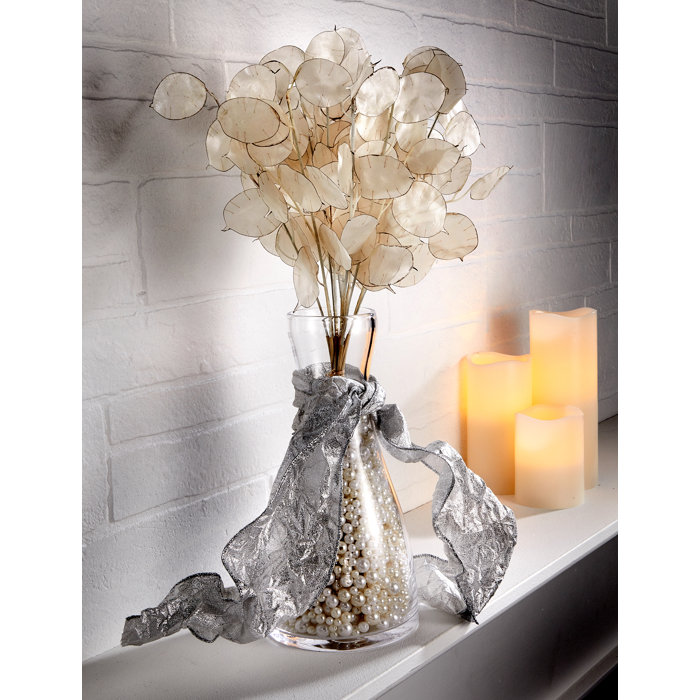 Union Rustic Lunaria Bundle Coin Pod Stems & Reviews | Wayfair