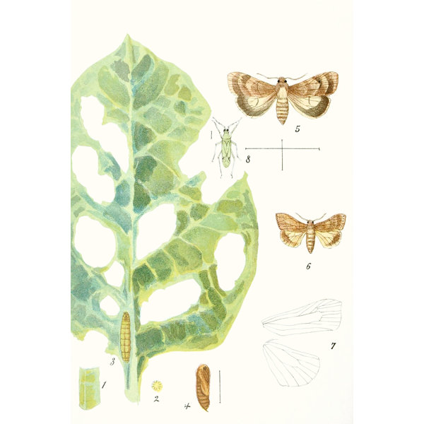 August Grove Art Prints | Wayfair.co.uk