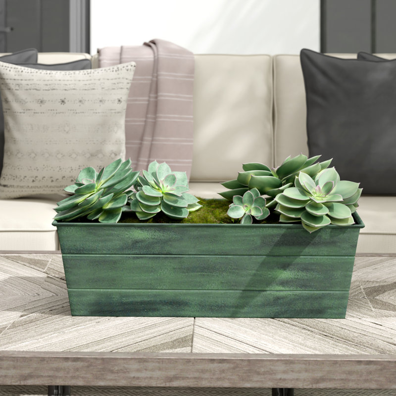 Gracie Oaks Nolette Galvanized Window Box Planter & Reviews | Wayfair