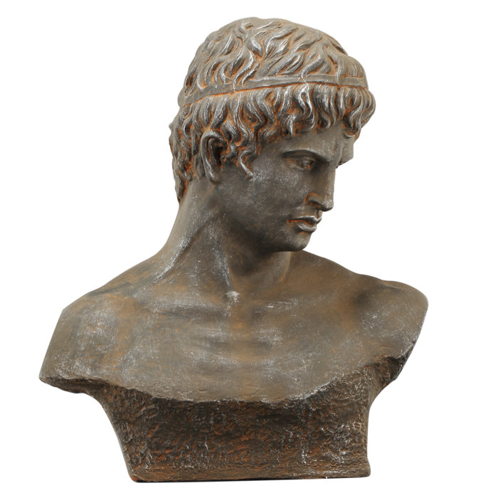 Lark Manor Akeil Brown/Gray Atticus Bust & Reviews | Wayfair