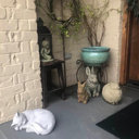 Campania International, Inc Fat Rabbit Statue & Reviews | Wayfair