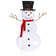 The Holiday Aisle® Snowman Lighted Display | Wayfair