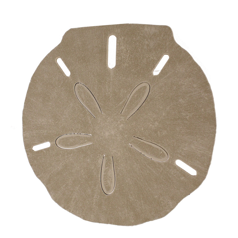 Highland Dunes Ingham Sand Dollar Top End Table | Wayfair