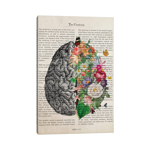 East Urban Home Brain Art Flower Anatomy Print - Wrapped Canvas Graphic ...