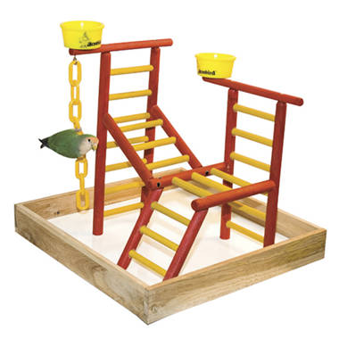 Featherland/Paradise 22'' Wood Bird Play Gym for Table Top & Reviews ...