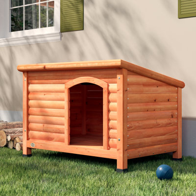 Wayfair | Dog Houses You'll Love in 2022