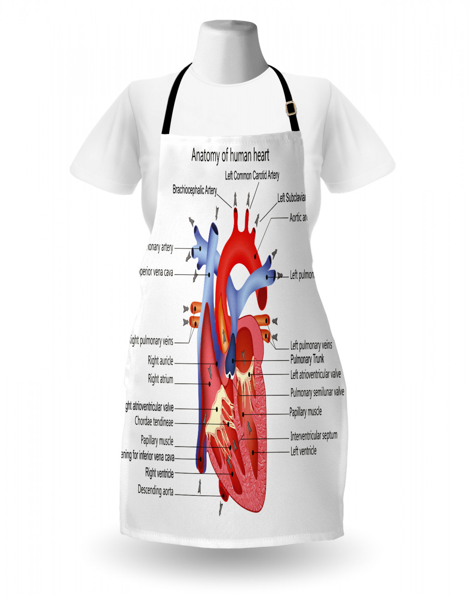 Human Body Apron | atelier-yuwa.ciao.jp