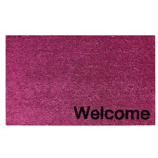 Wade Logan® Kasper Non-Slip Indoor Door Mat & Reviews | Wayfair