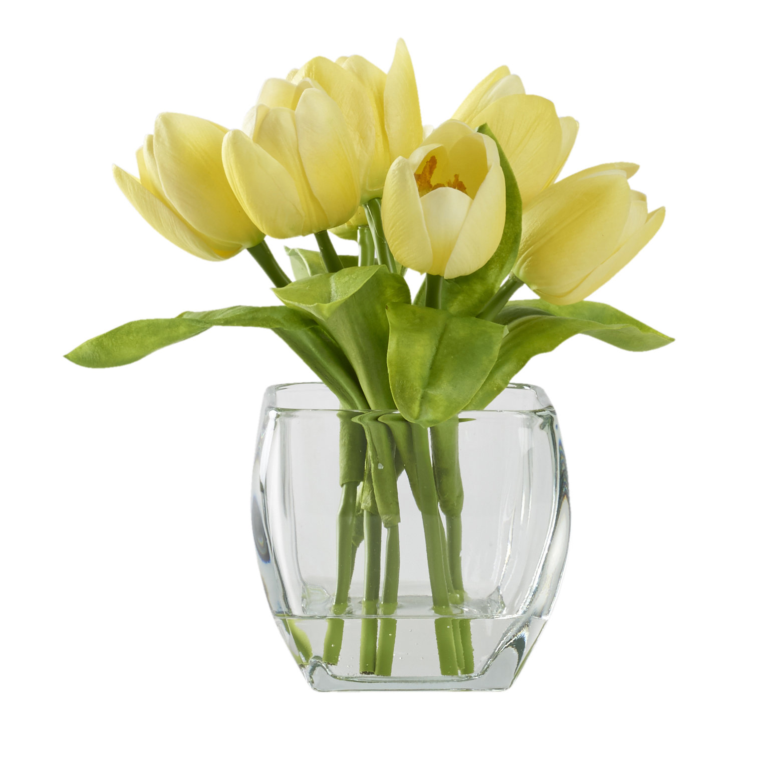 Primrue Tulips In Glass Cube | Wayfair