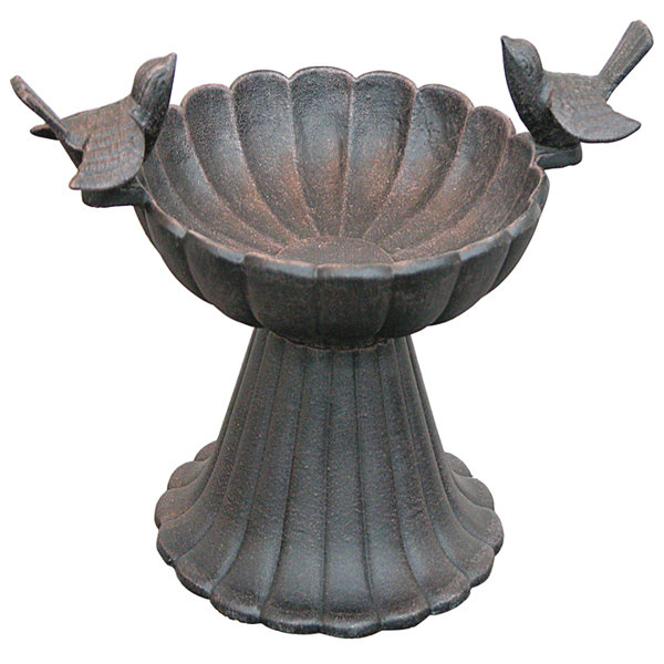 Farmhouse & Rustic Bird Baths | Birch Lane