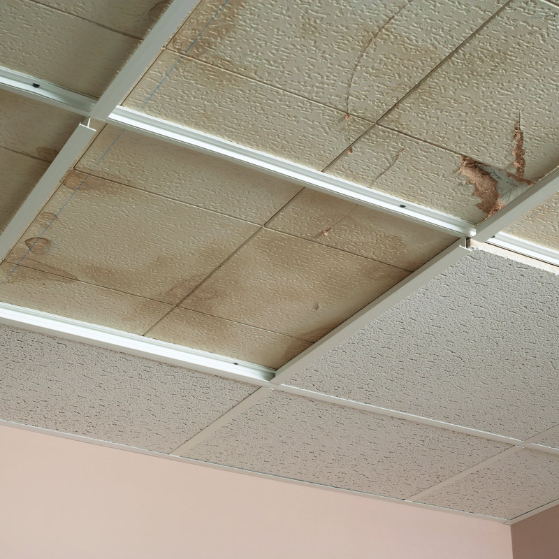 CeilingMAX 100sq ft Surface Mount Grid Kit & Reviews | Wayfair