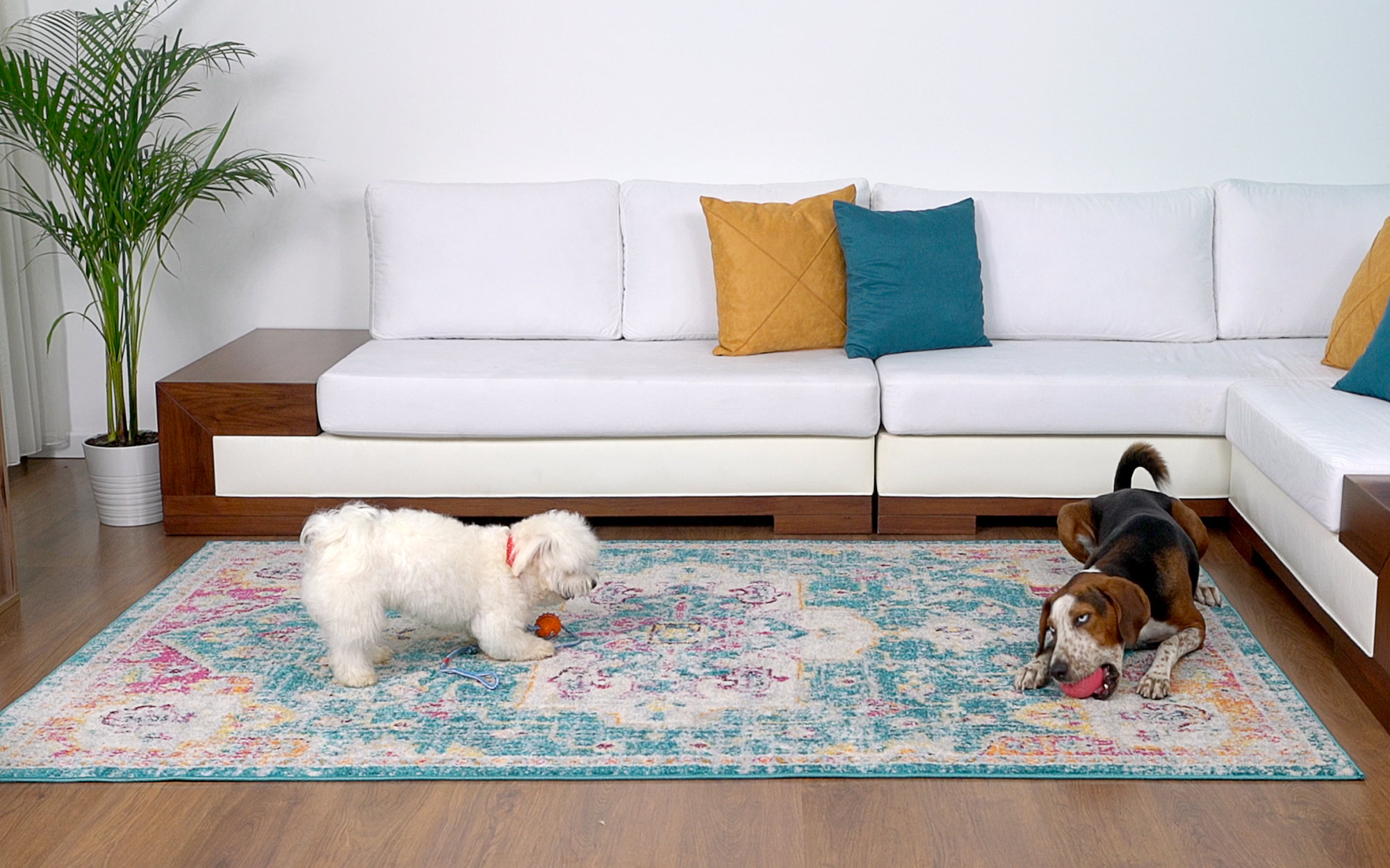 Bungalow Rose Depriest Bohemian Blue Area Rug & Reviews | Wayfair