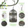 Fleur De Lis Living Hartzell Squirrel Proof Caged Hopper Bird Feeder ...