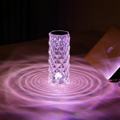 Kuai Lighting Acrylic Novelty Lamp | Wayfair