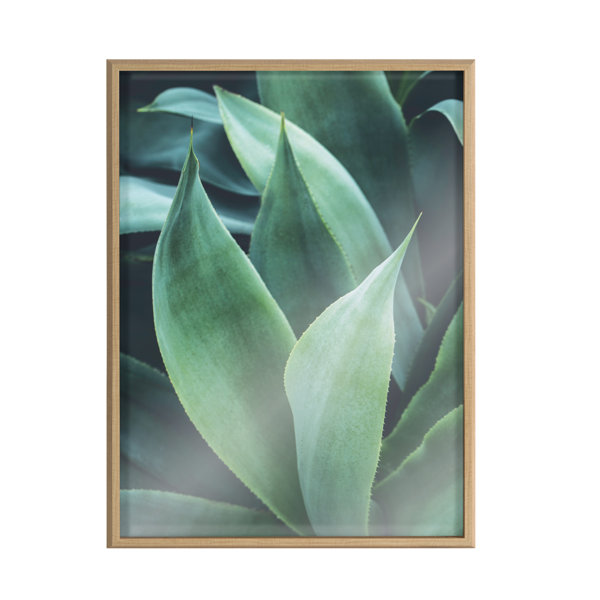Dakota Fields Agave II 24X32 V PA Whole Image by F2images - Floater ...