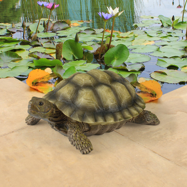 Outdoor-garden-turtles-statues | Wayfair