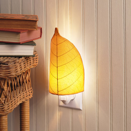 Eangee Home Design Leaf Night Light & Reviews | Wayfair