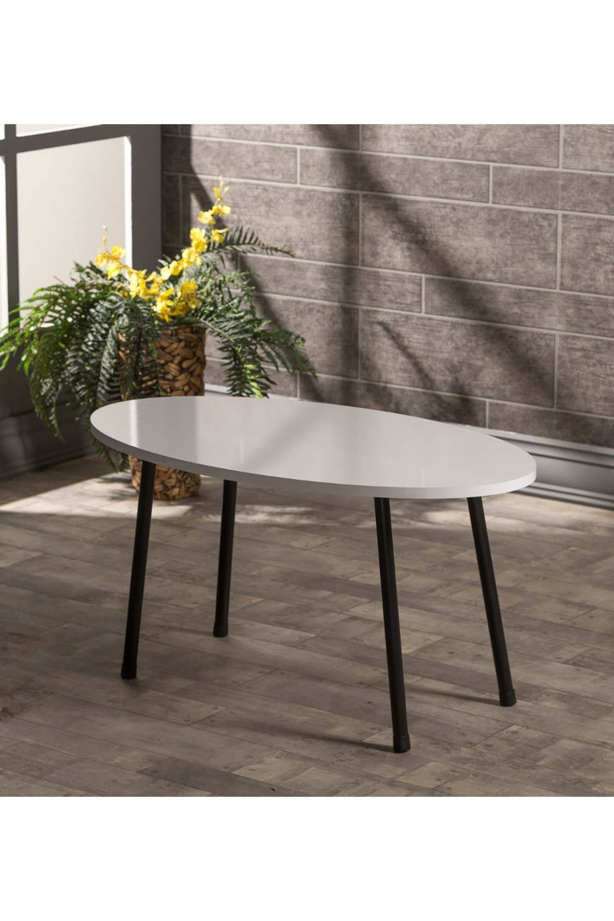 Mercer41 White Oval Coffee Table With Black Metal Legs, Modern Style ...