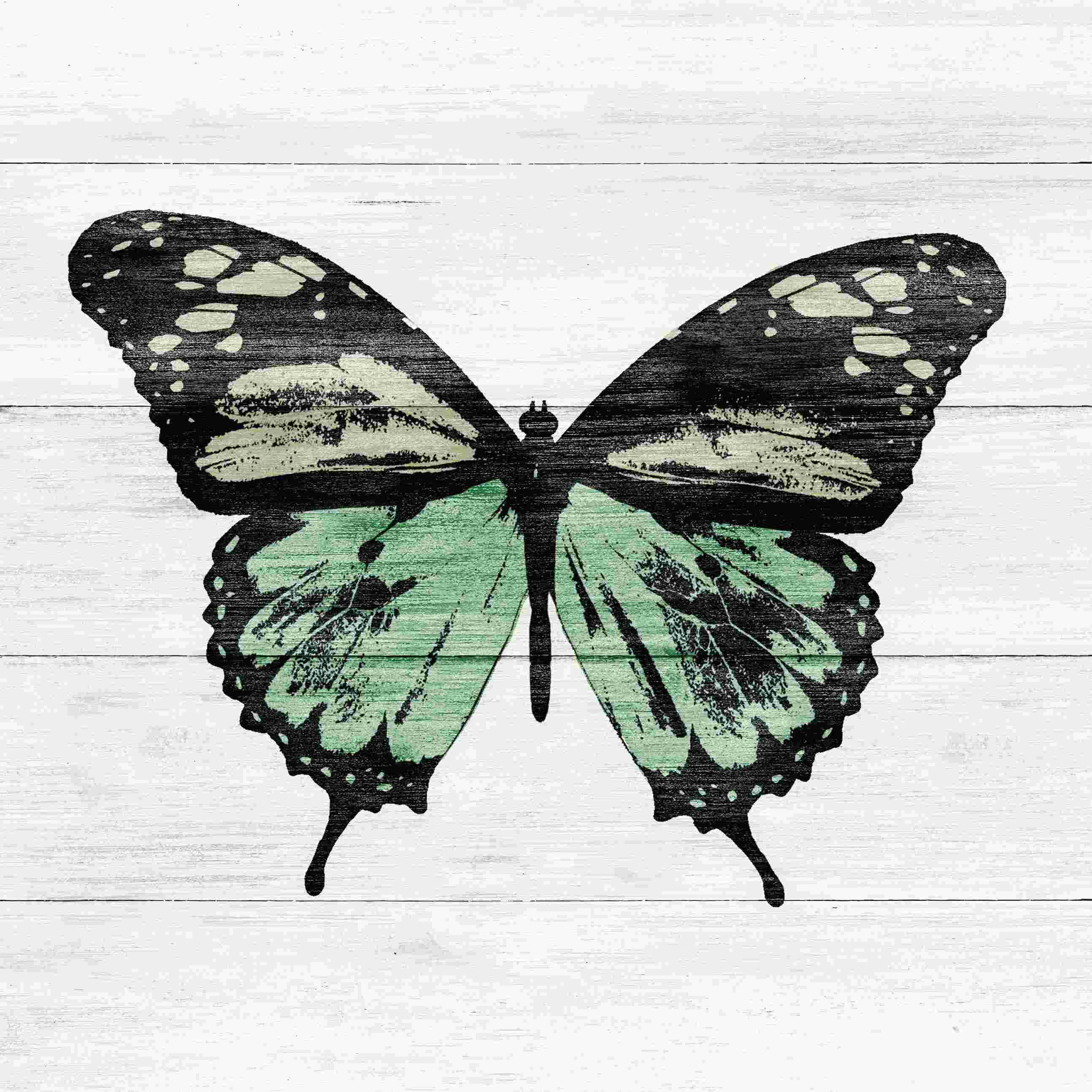 August Grove® Vintage Green Butterfly - Wrapped Canvas Print | Wayfair