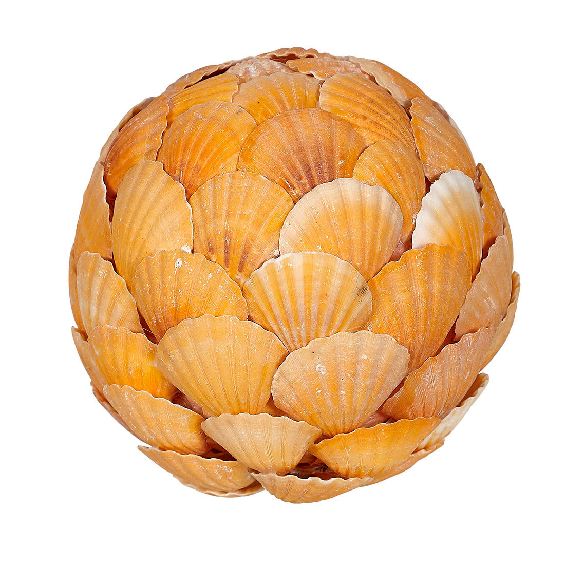 Highland Dunes Alday Shell Orb Sculpture | Wayfair
