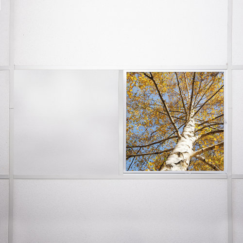 Octo Lights Trees Flexible Decorative Light Cover | Wayfair