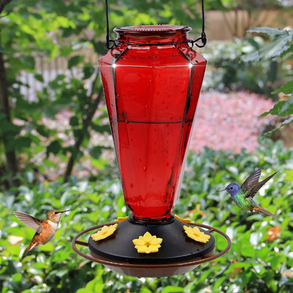 Arlmont & Co. Hummingbird Feeders with 5 Feeding Ports | Wayfair